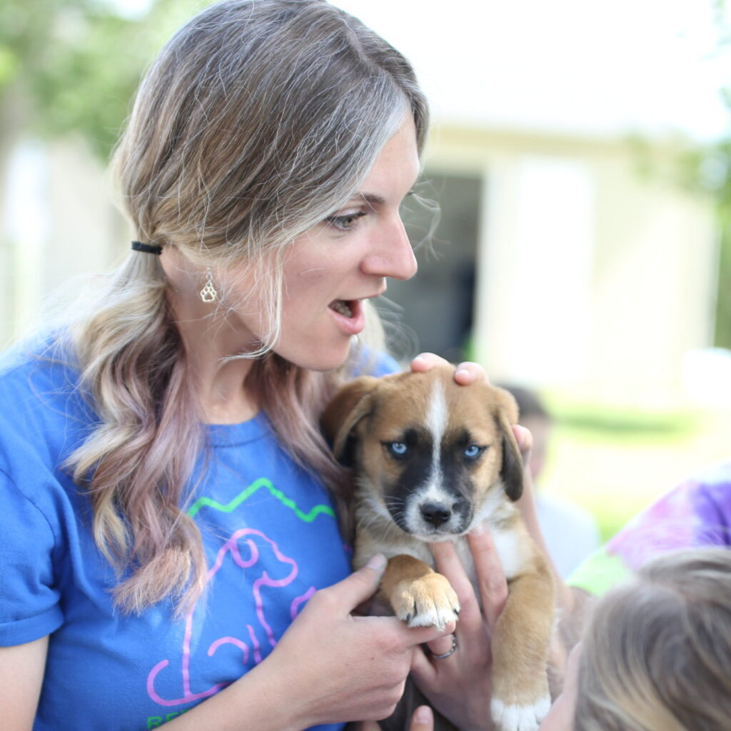 All Available Pets - Cache Humane Society